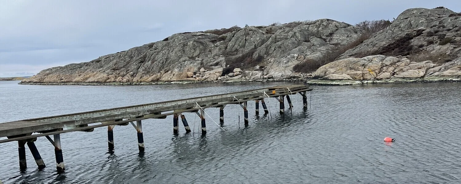 Thomas Sahlin - Konstnär