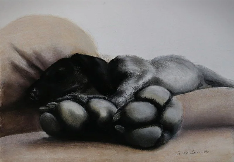 Paws av Jennie Larsdotter
